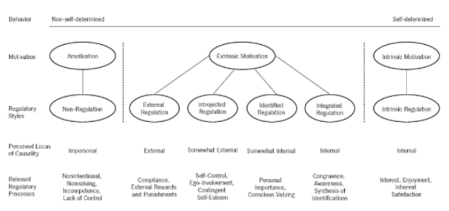 Organismic Integration Theory | sdt-condensed